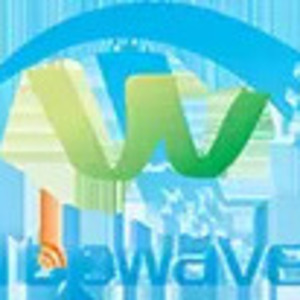 Translator Profile: Hefei Topwave Telecom Co.,ltd (tepai) | TM-Town