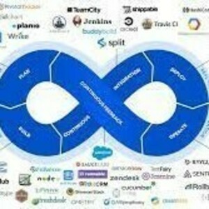 Translator Profile: Devops Proxy Support (devopsproxy) | TM-Town