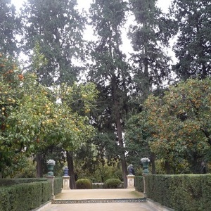 Translator Profile: Claire Perrier (claireperrier) | TM-Town